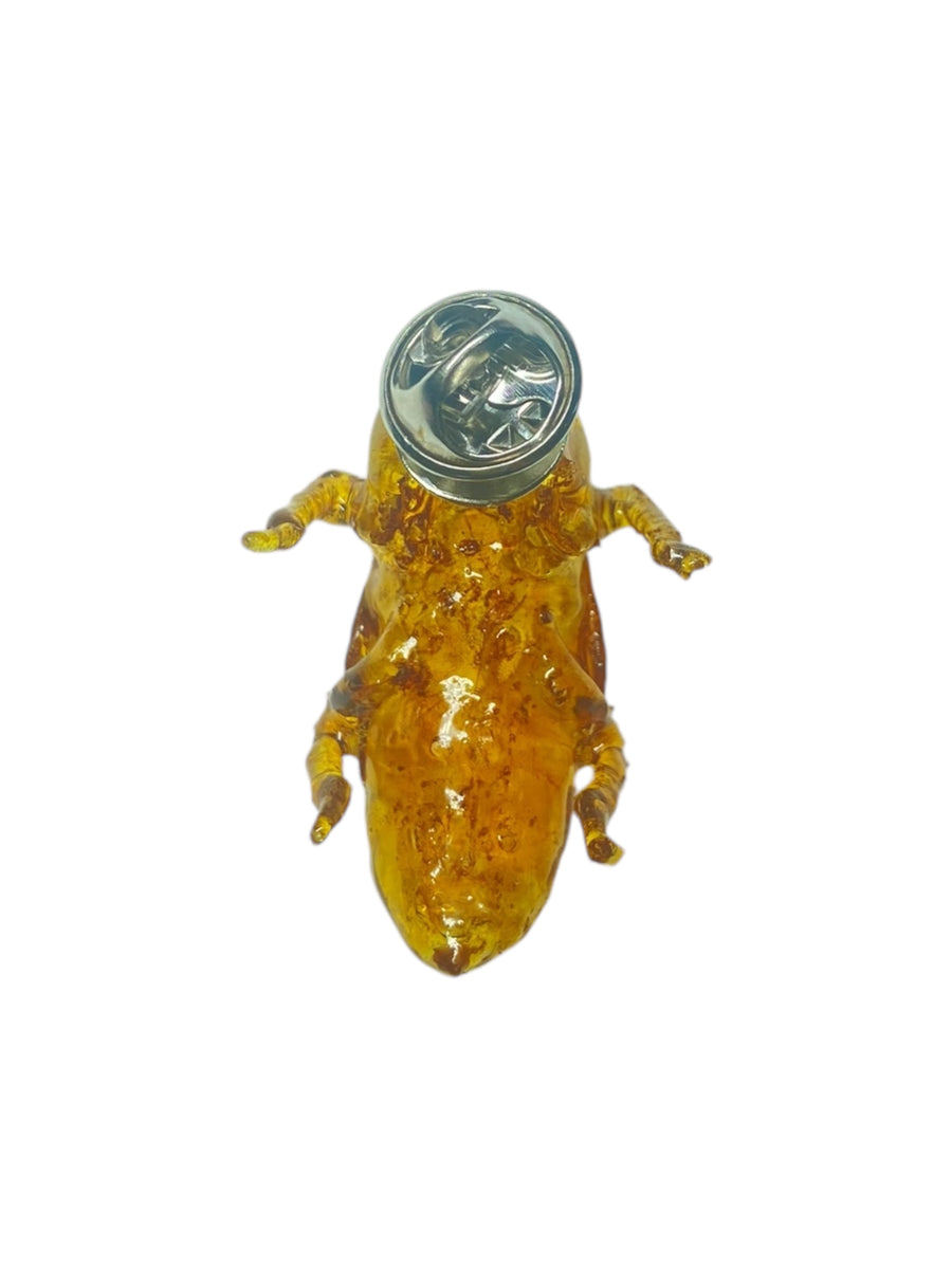"cicada shell" pin – Sophie G Stark